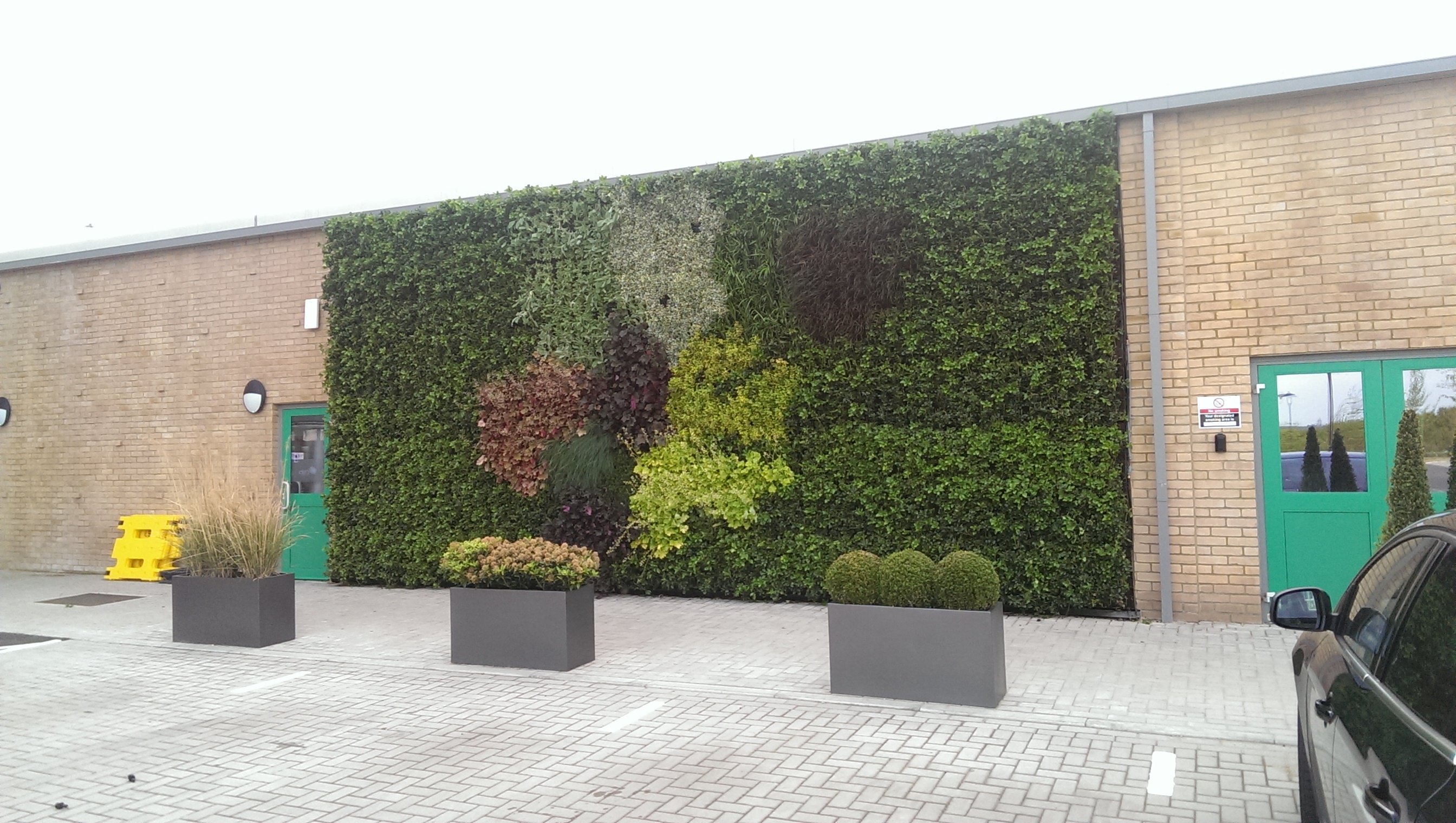 Robin’s nest in Viritopia Living Wall