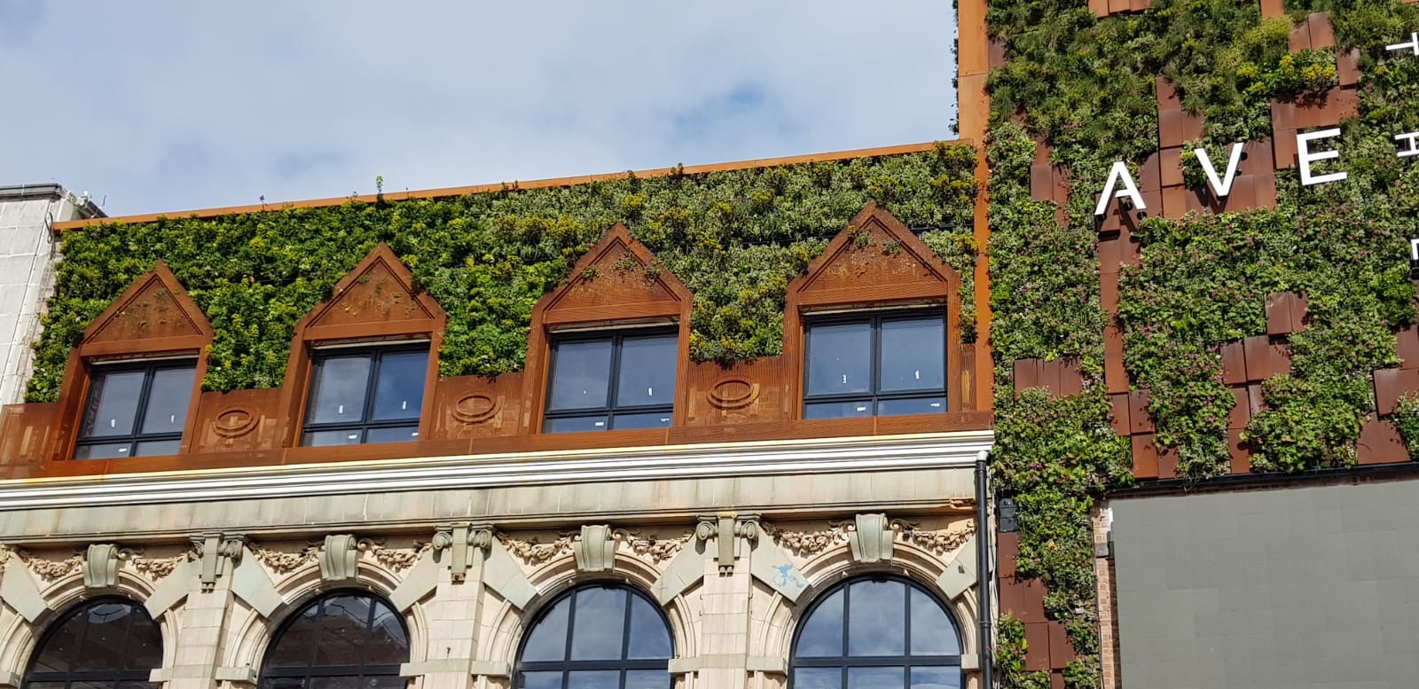 Improving Local Biodiversity and Why It's Important