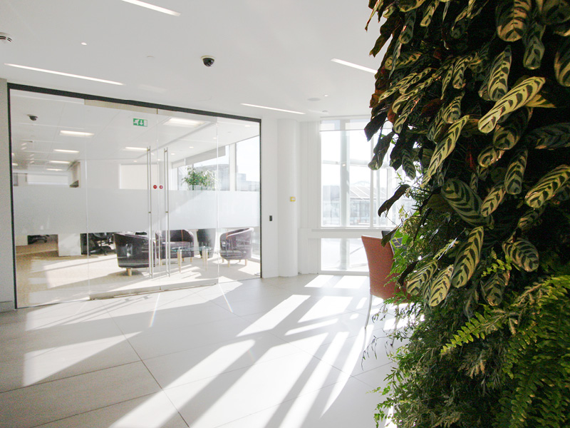 Living Walls available in Dubai