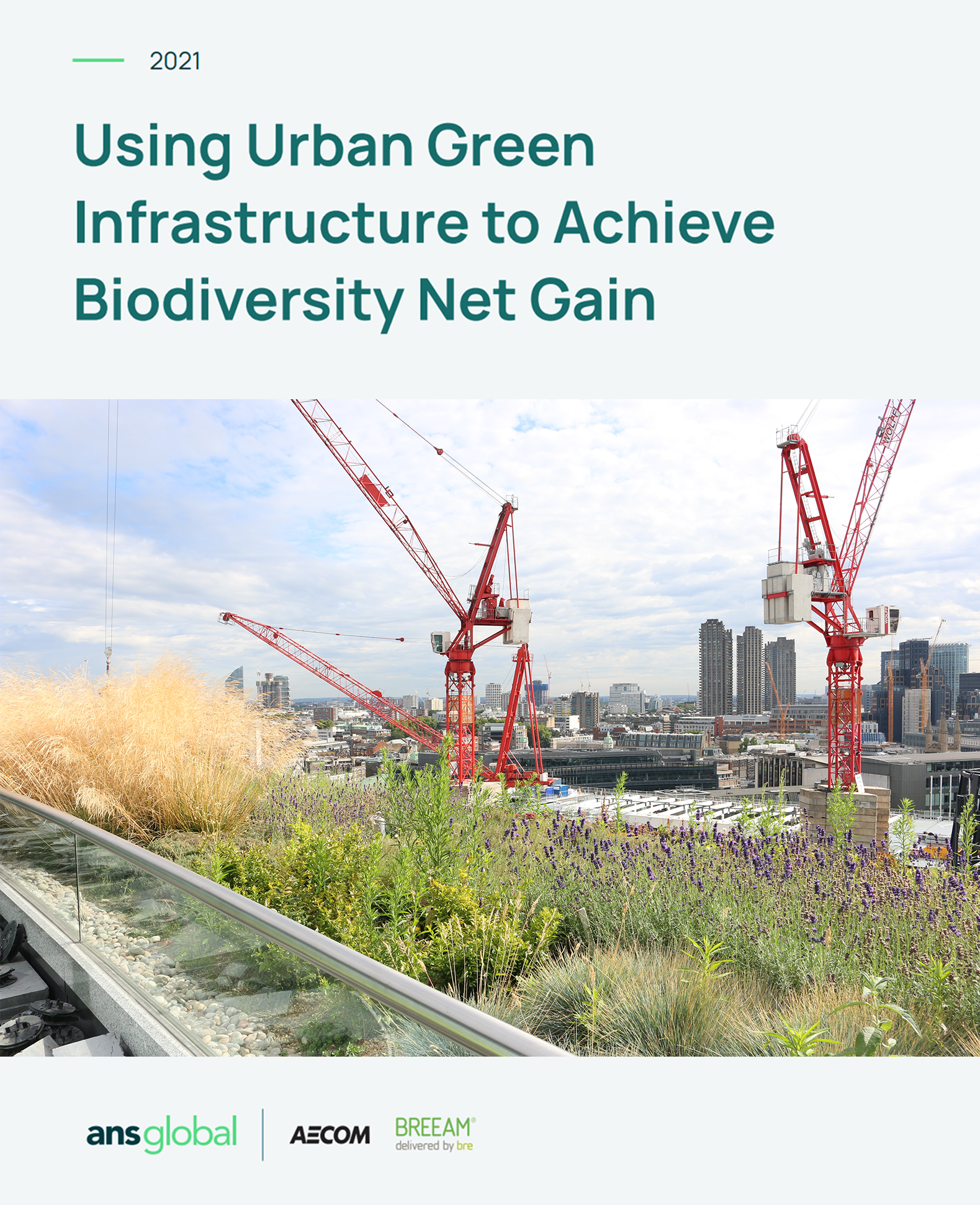 Biodiversity Net Gain Metric 3.0: What you need to know