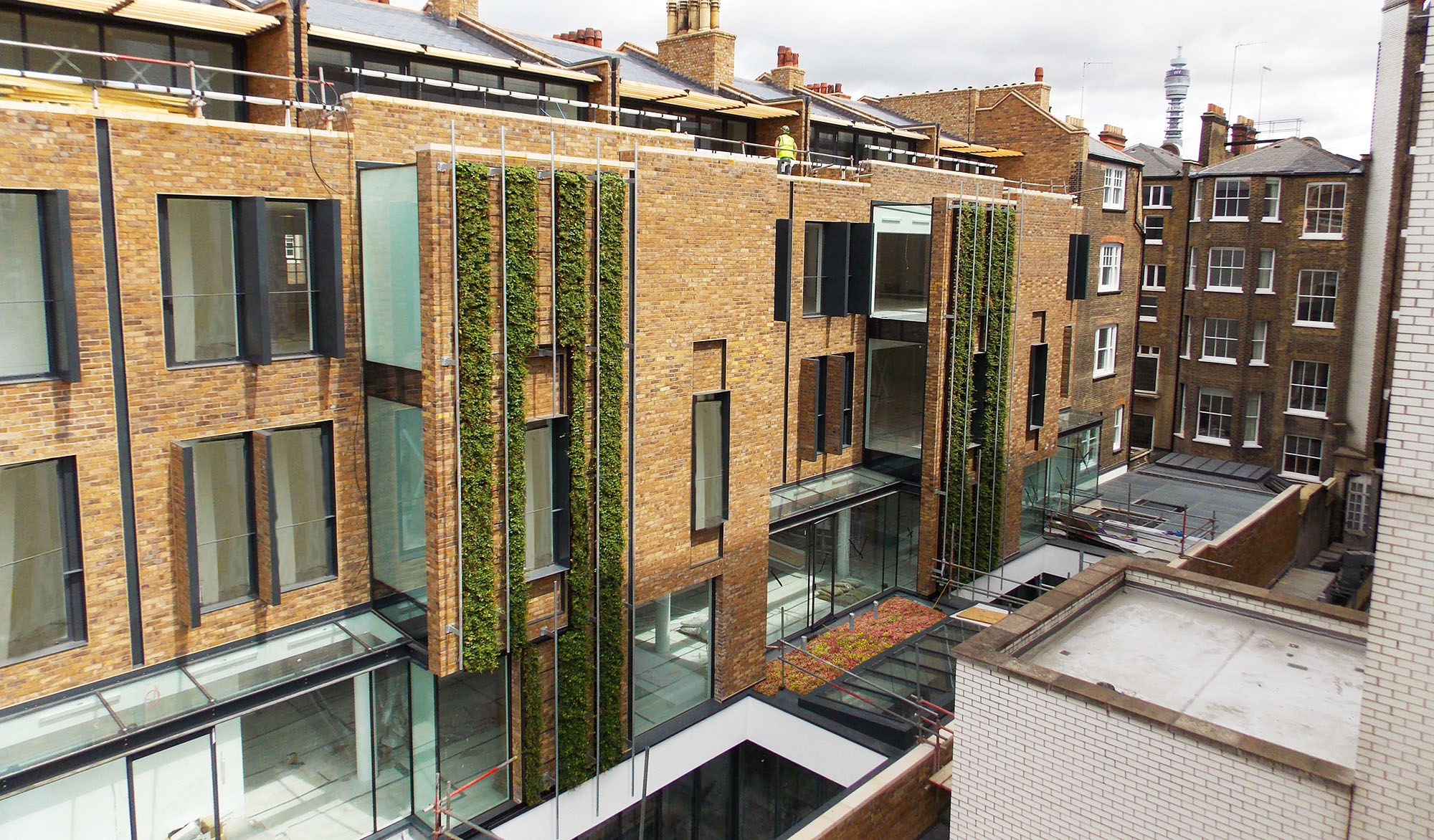 Living Wall & Green Roof Design Specialists | Viritopia