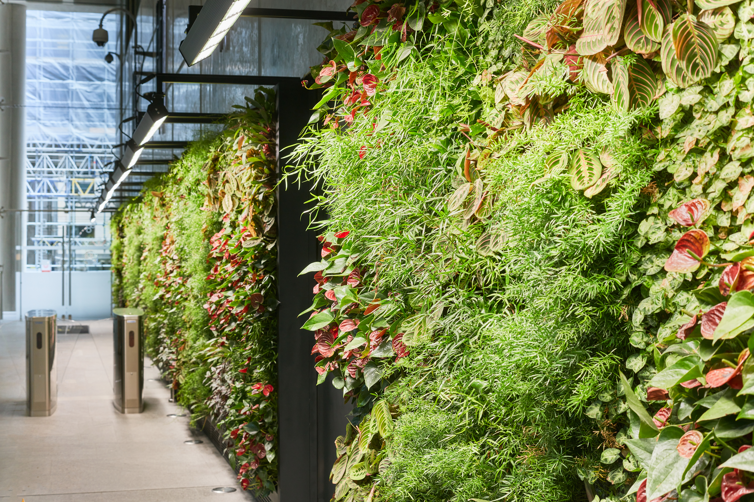 The Viritopia Living Wall Module