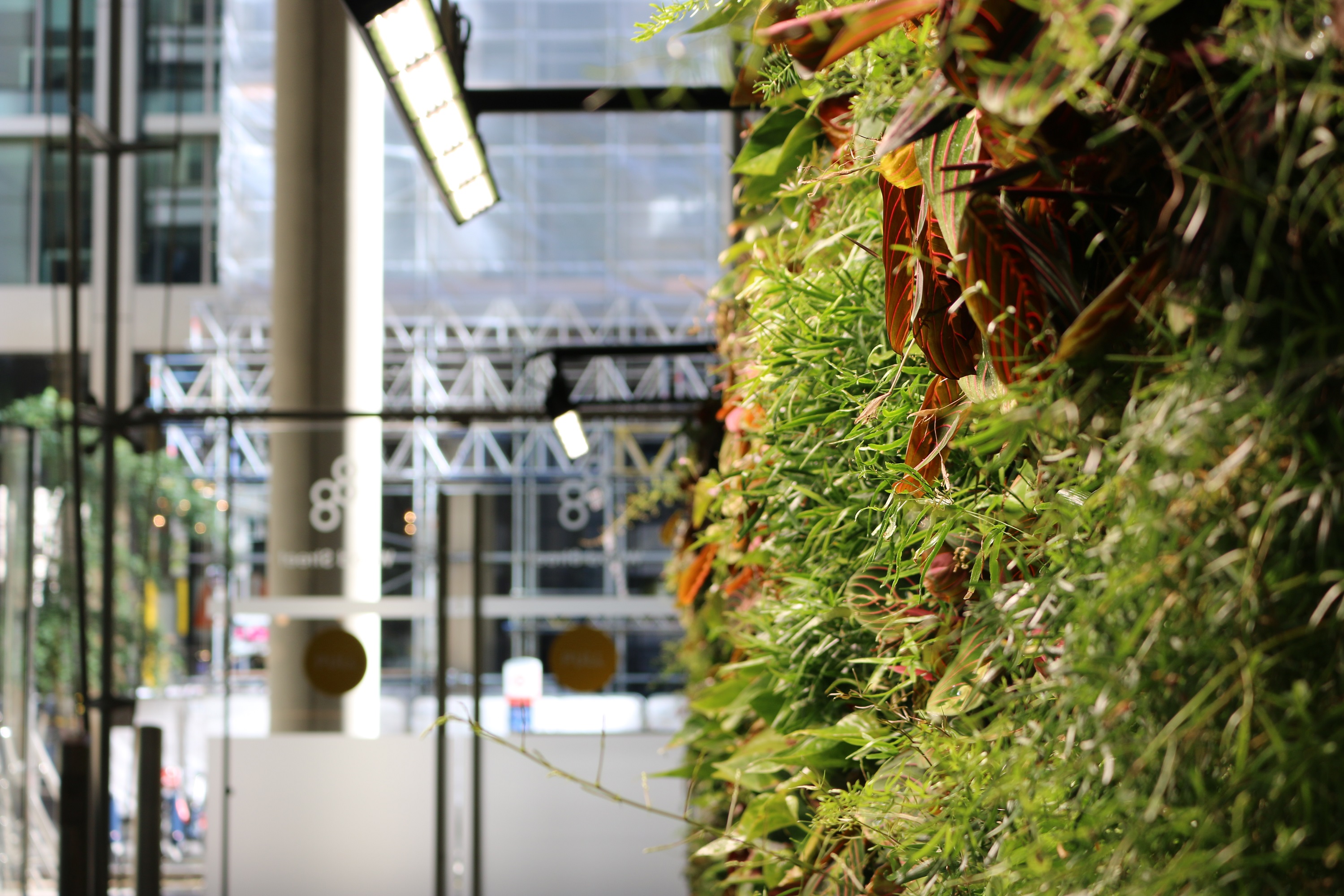 Interior Green Wall Detail