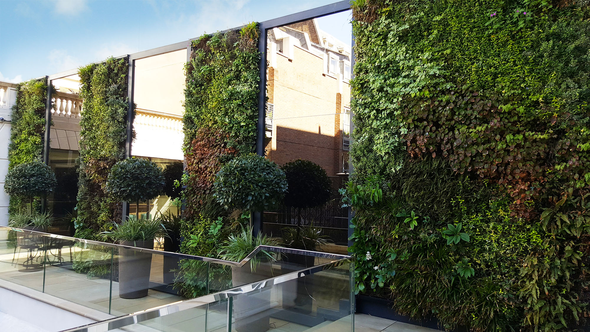 What Are the Best Plants for Green Roof Systems?