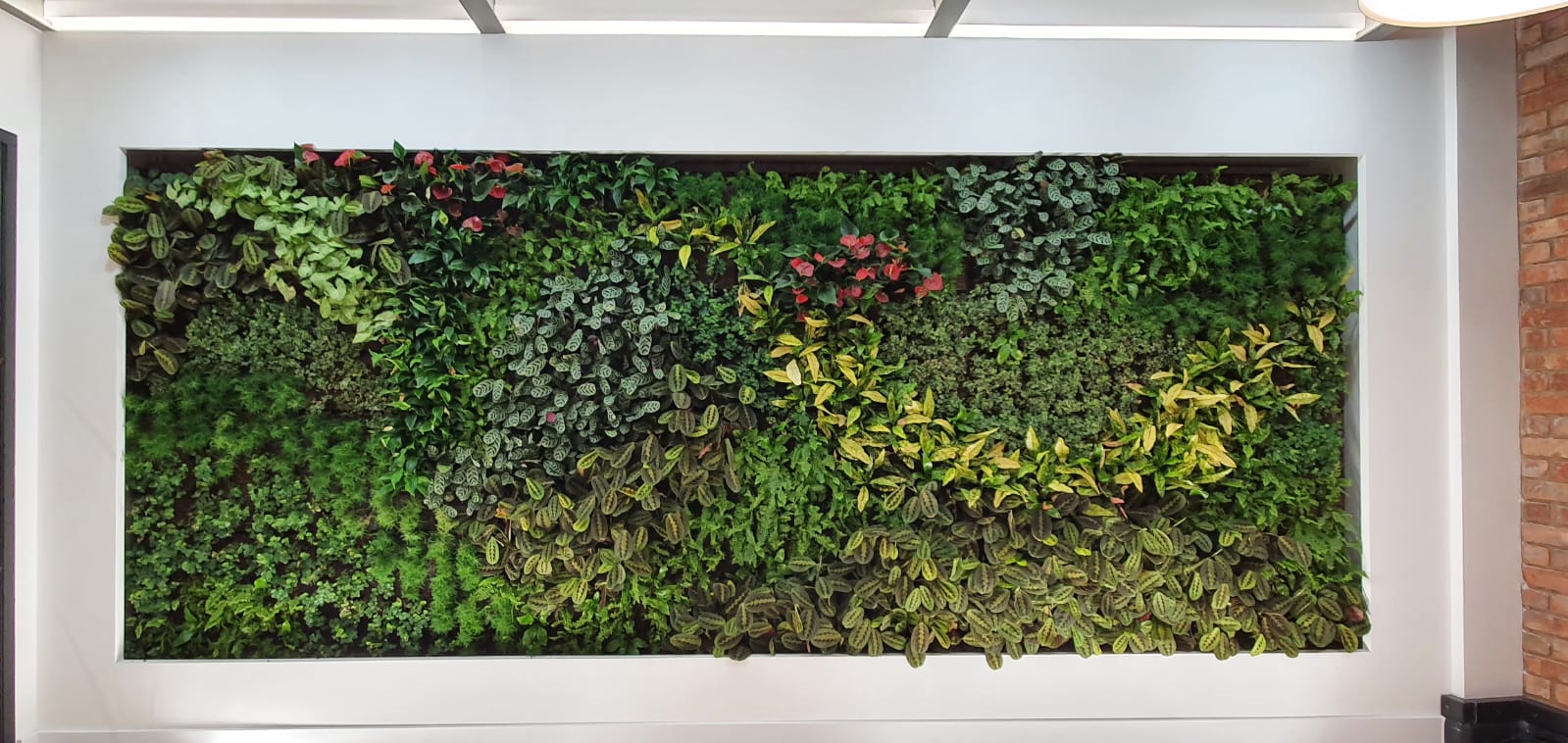 Eagle Street Case Study | Viritopia