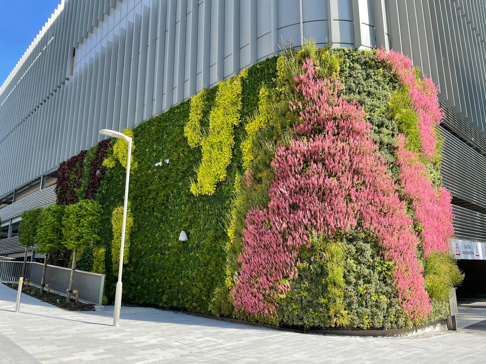 Living Wall & Green Roof Design Specialists | Viritopia