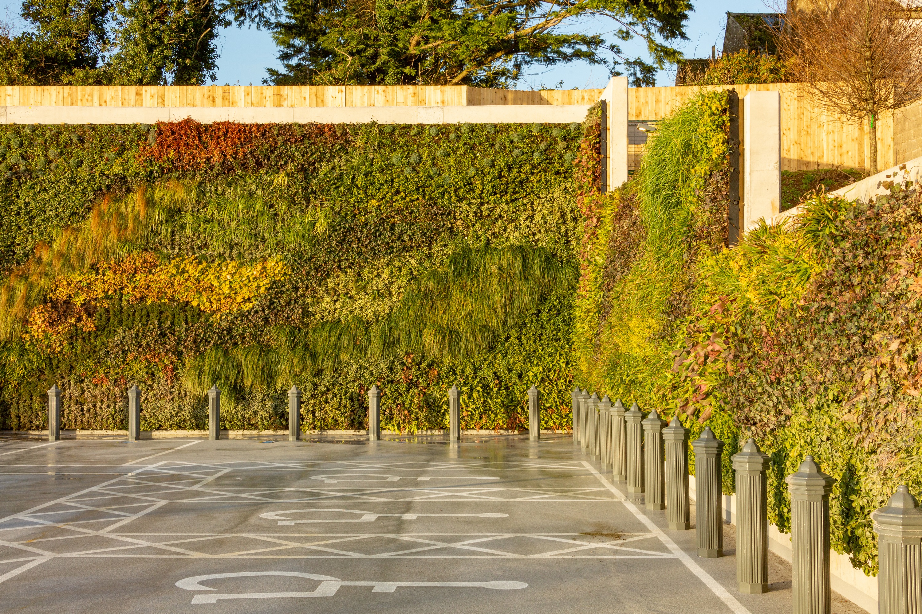 Living Wall & Green Roof Design Specialists | Viritopia