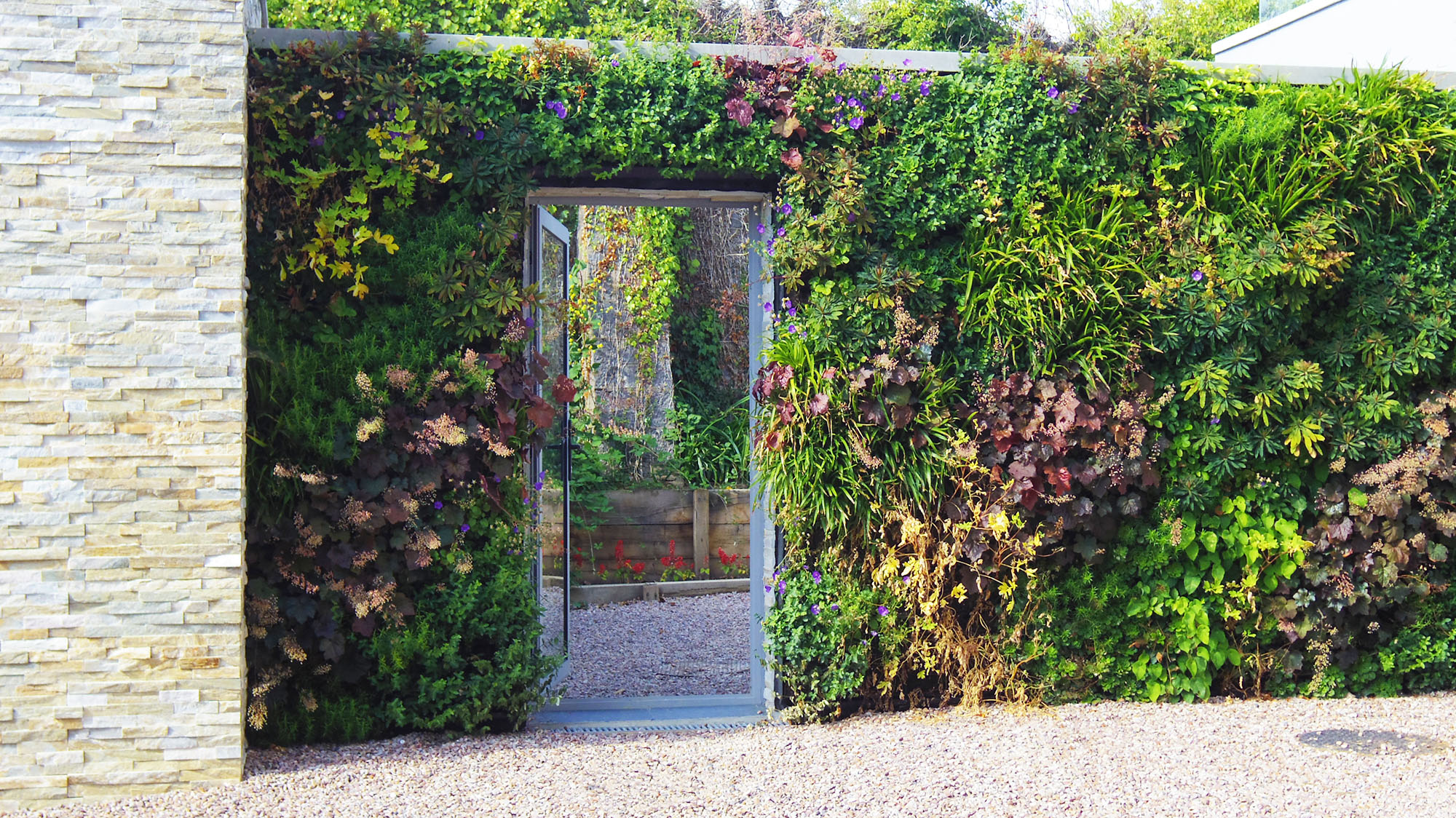 Living Wall & Green Roof Design Specialists | Viritopia