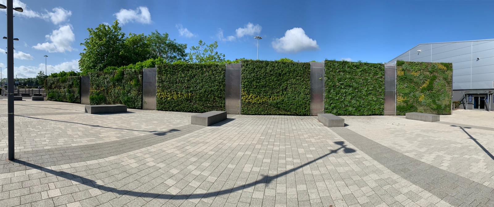 Liphook Home Renovation