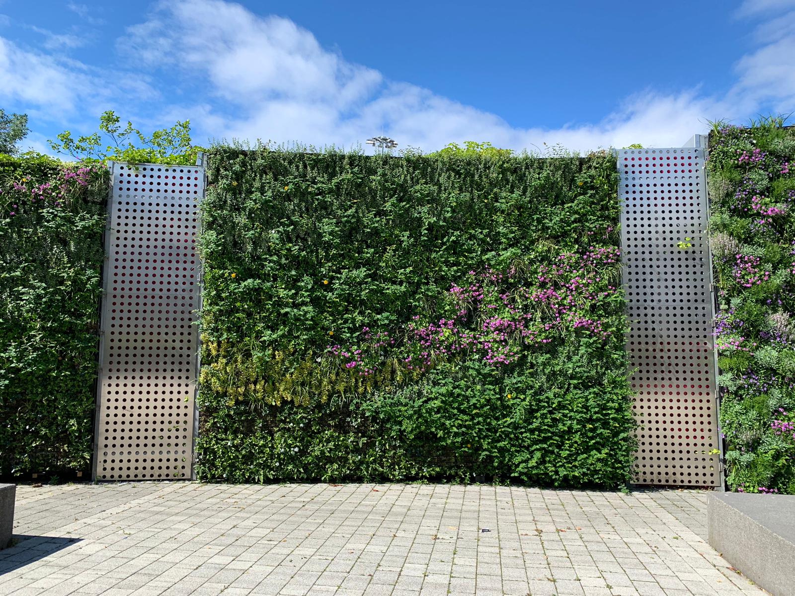 Living Walls Design Process | Viritopia