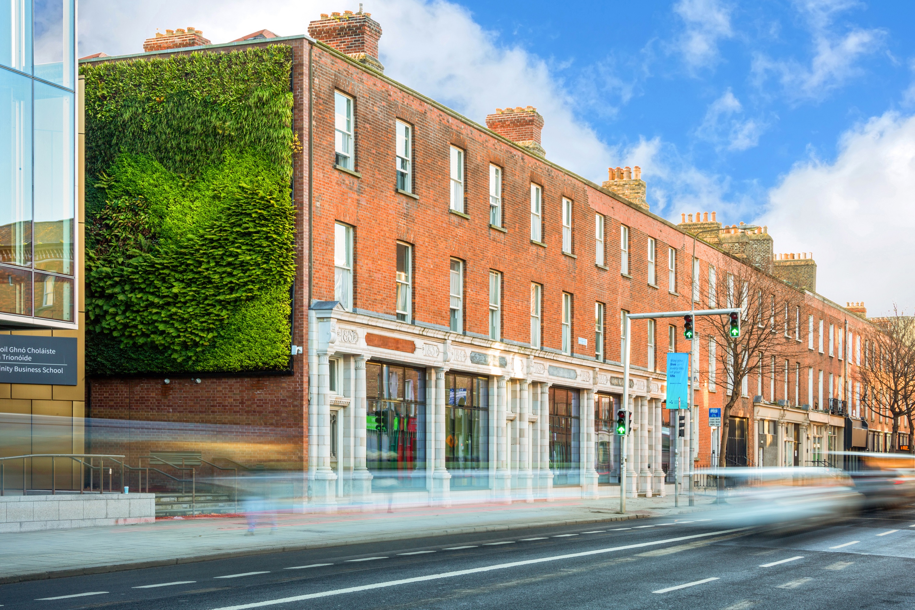 The Intersection of Environmental Architecture and Biophilic Design