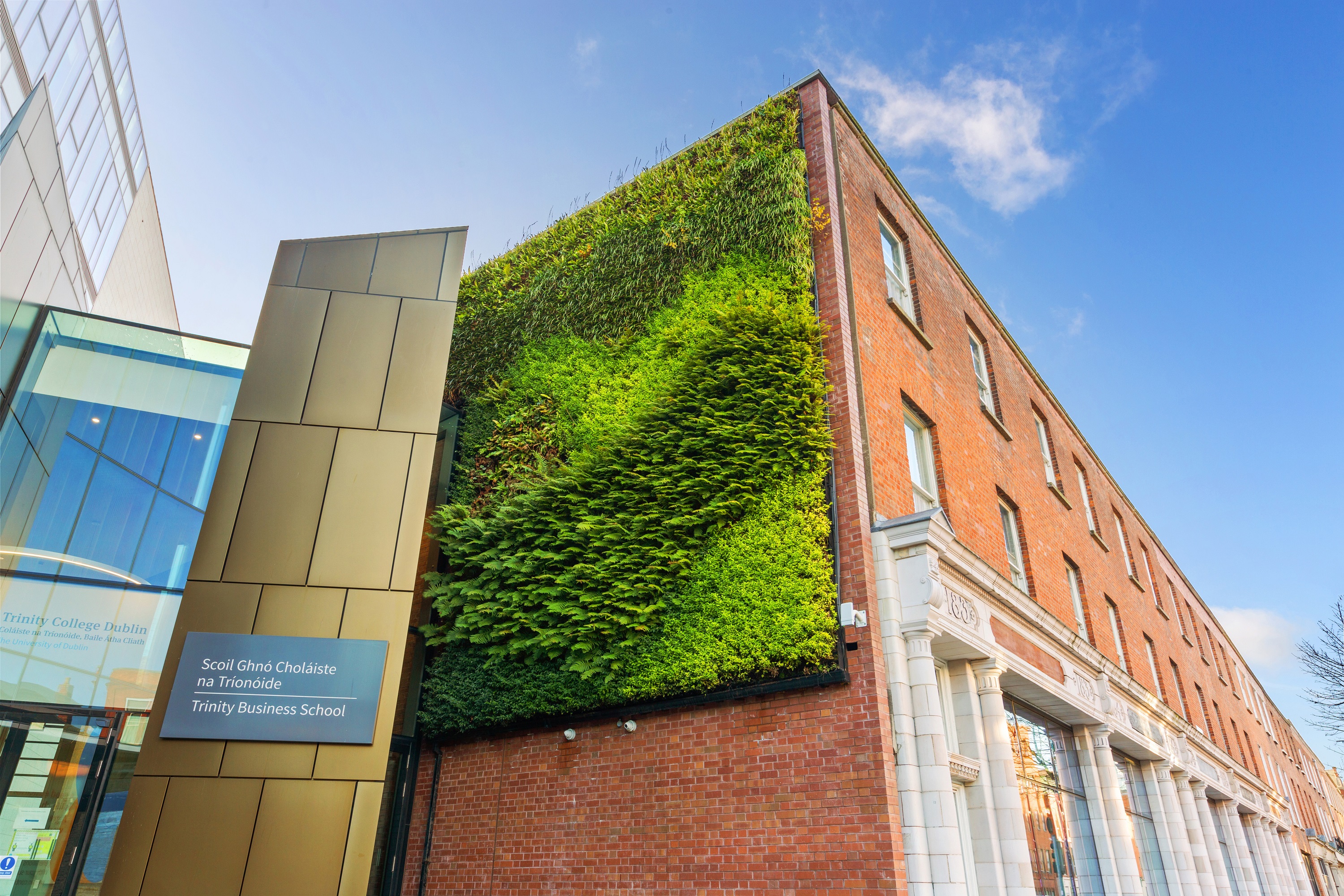 How Living Walls Improve Outdoor Air Quality
