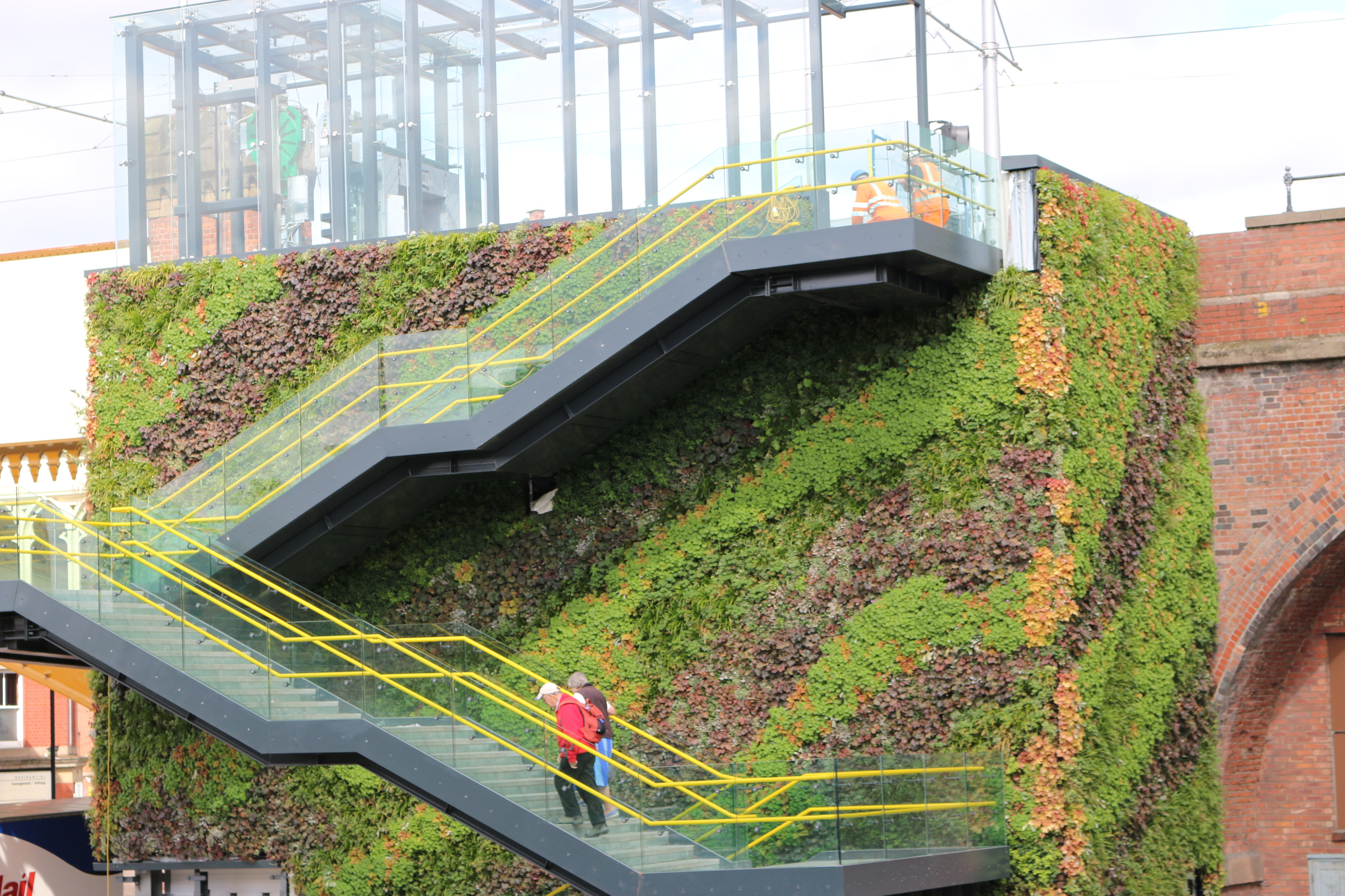 Exterior Living Wall Systems | Green Walls From Viritopia