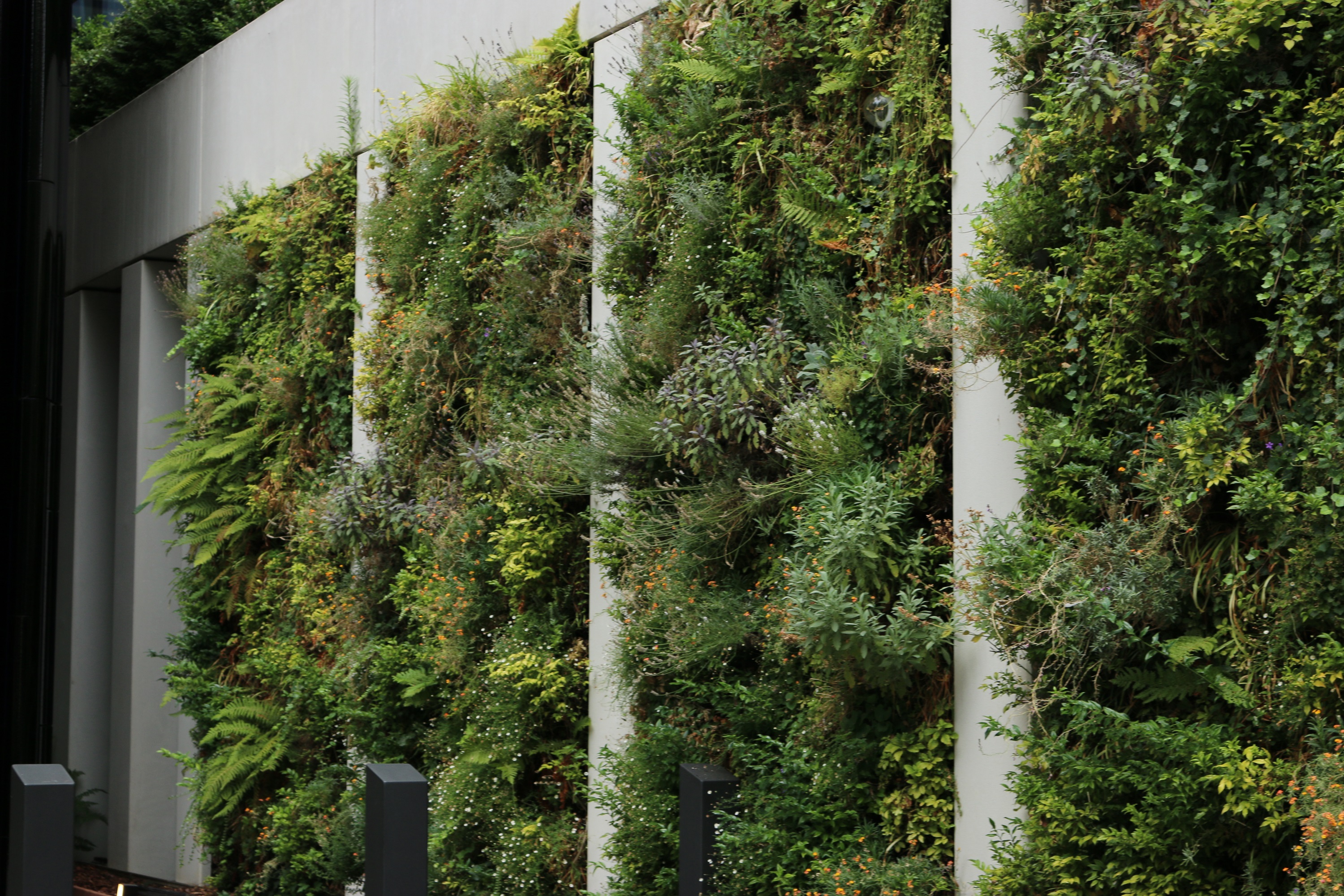 France’s Green Roof Mandate: The Future of Bio Construction