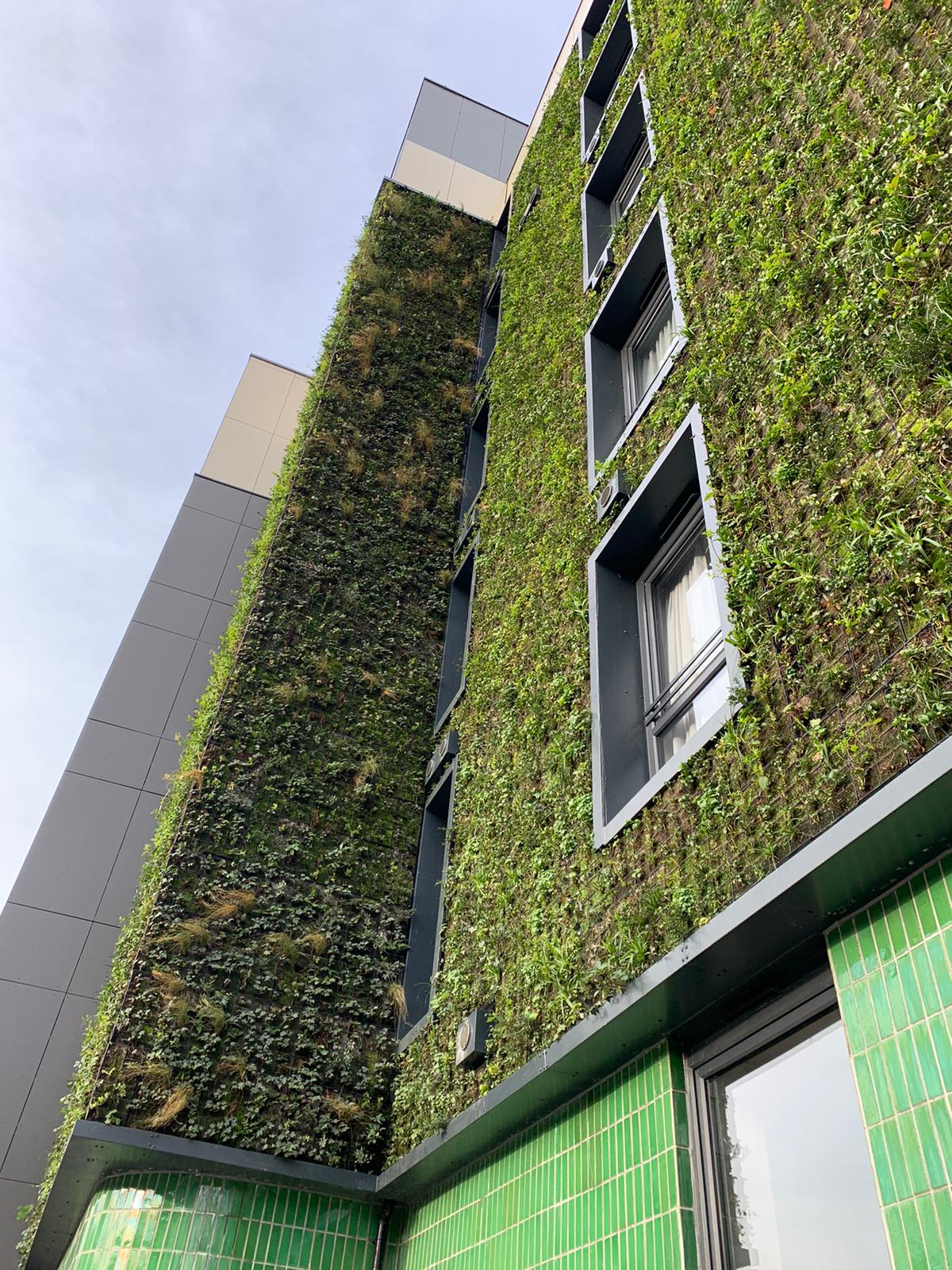 Living Wall & Green Roof Design Specialists | Viritopia