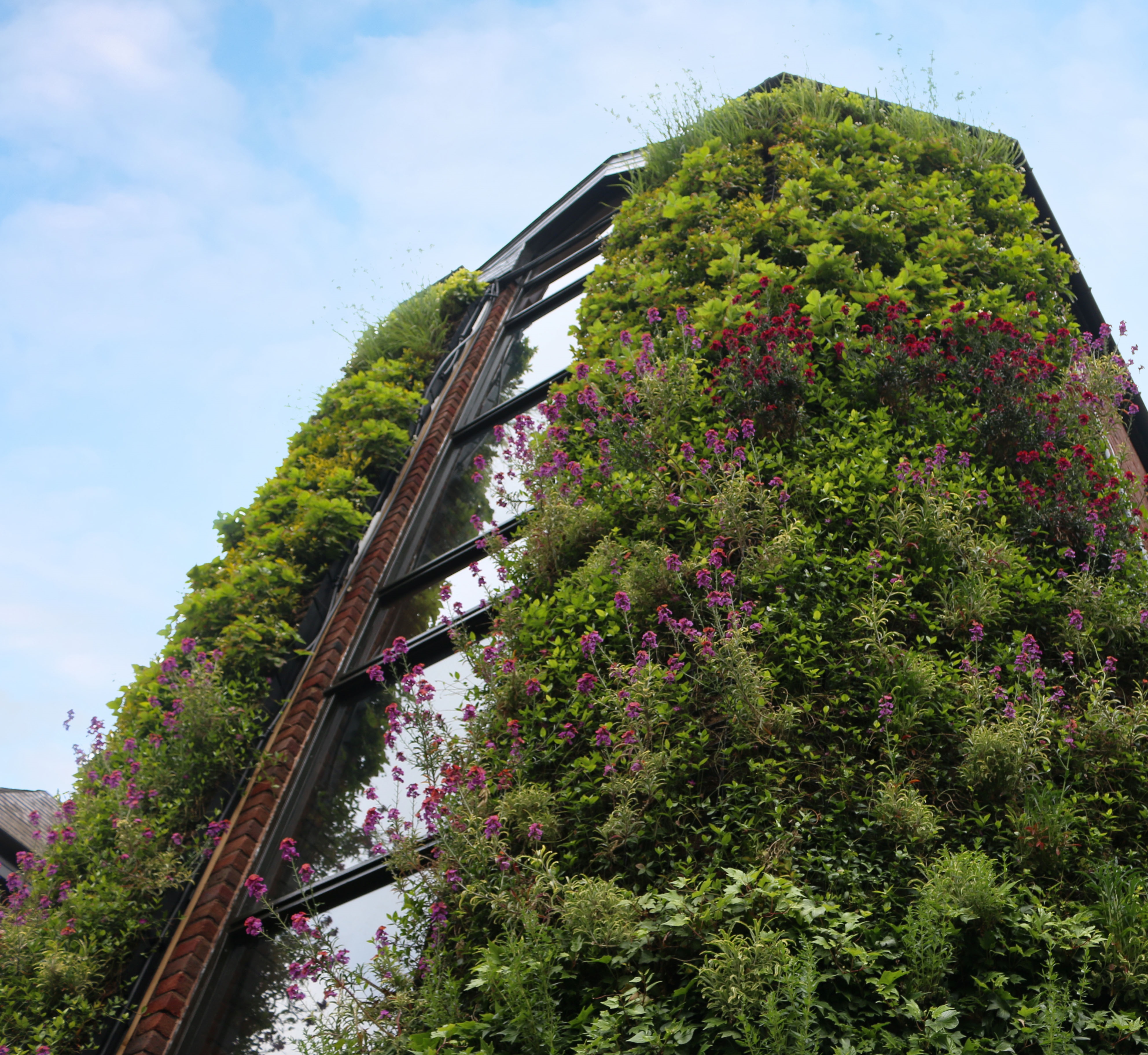 Living Wall & Green Roof Design Specialists | Viritopia