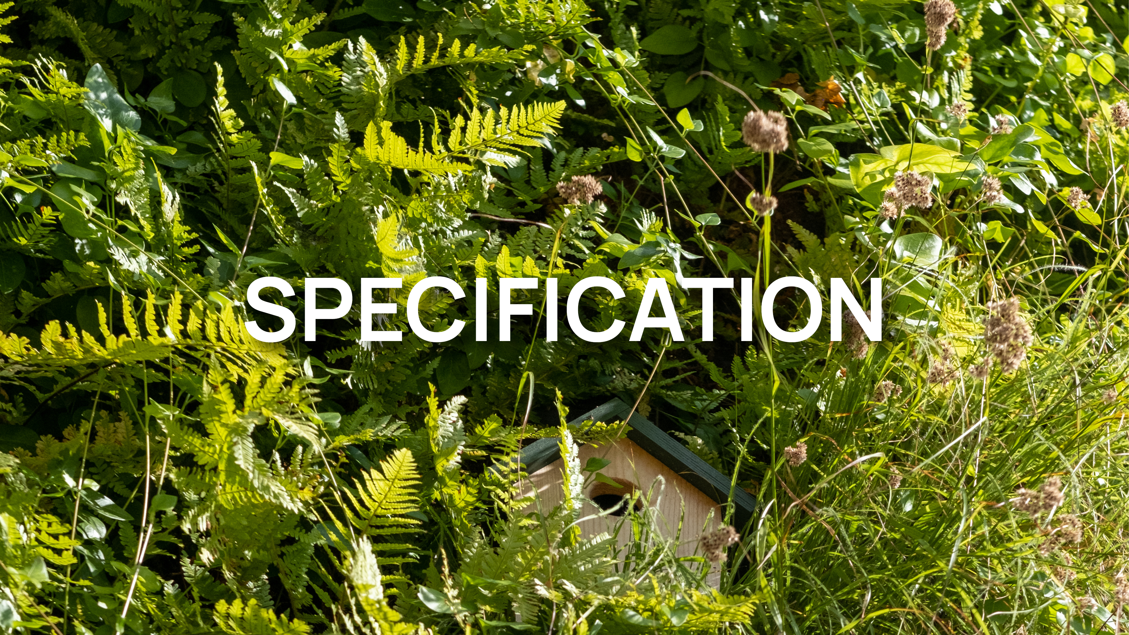 How We Help Architects With Living Walls & Green Roofs