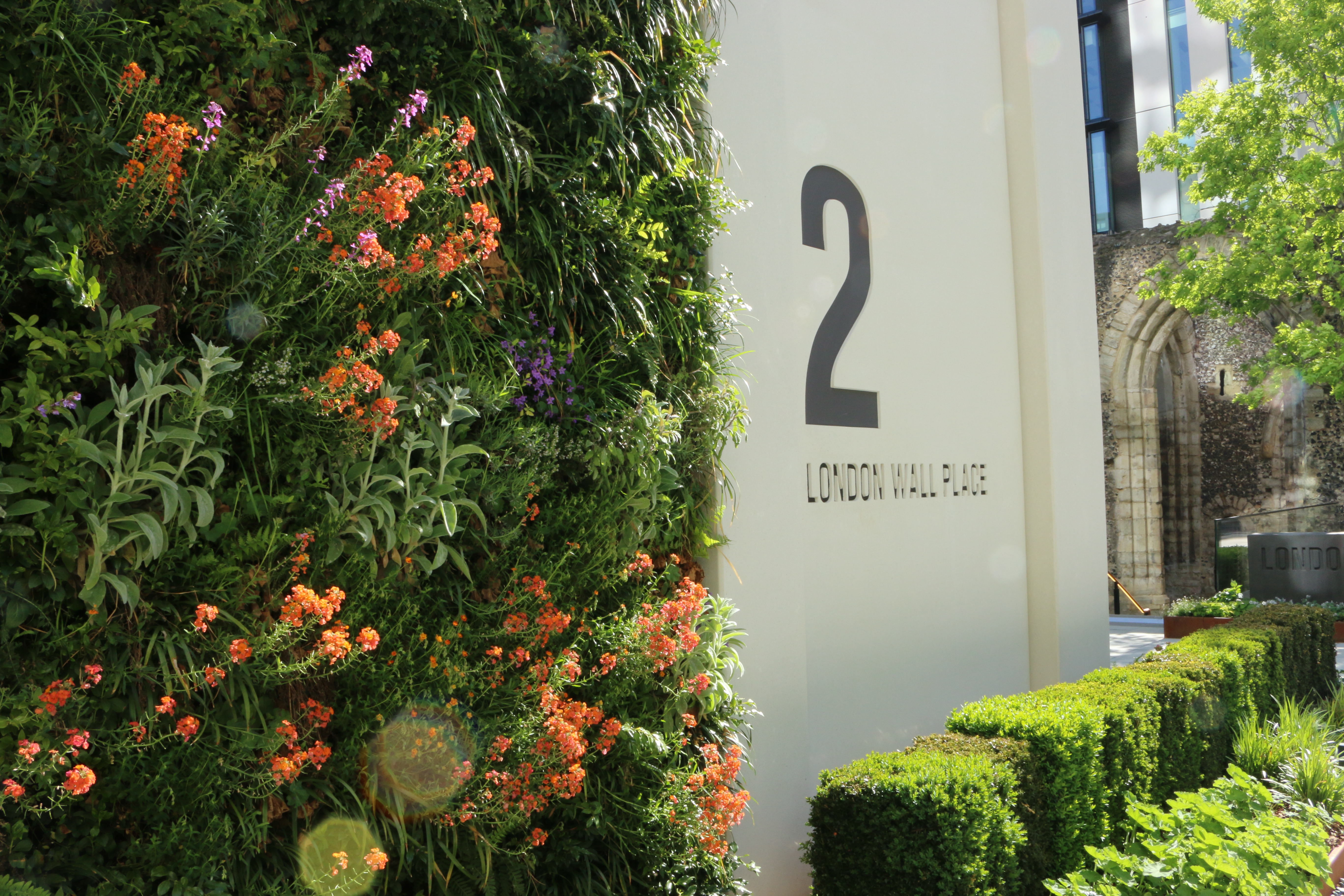 Living Wall & Green Roof Design Specialists | Viritopia