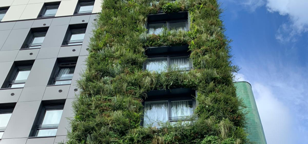 The 3 methods of living façade installation