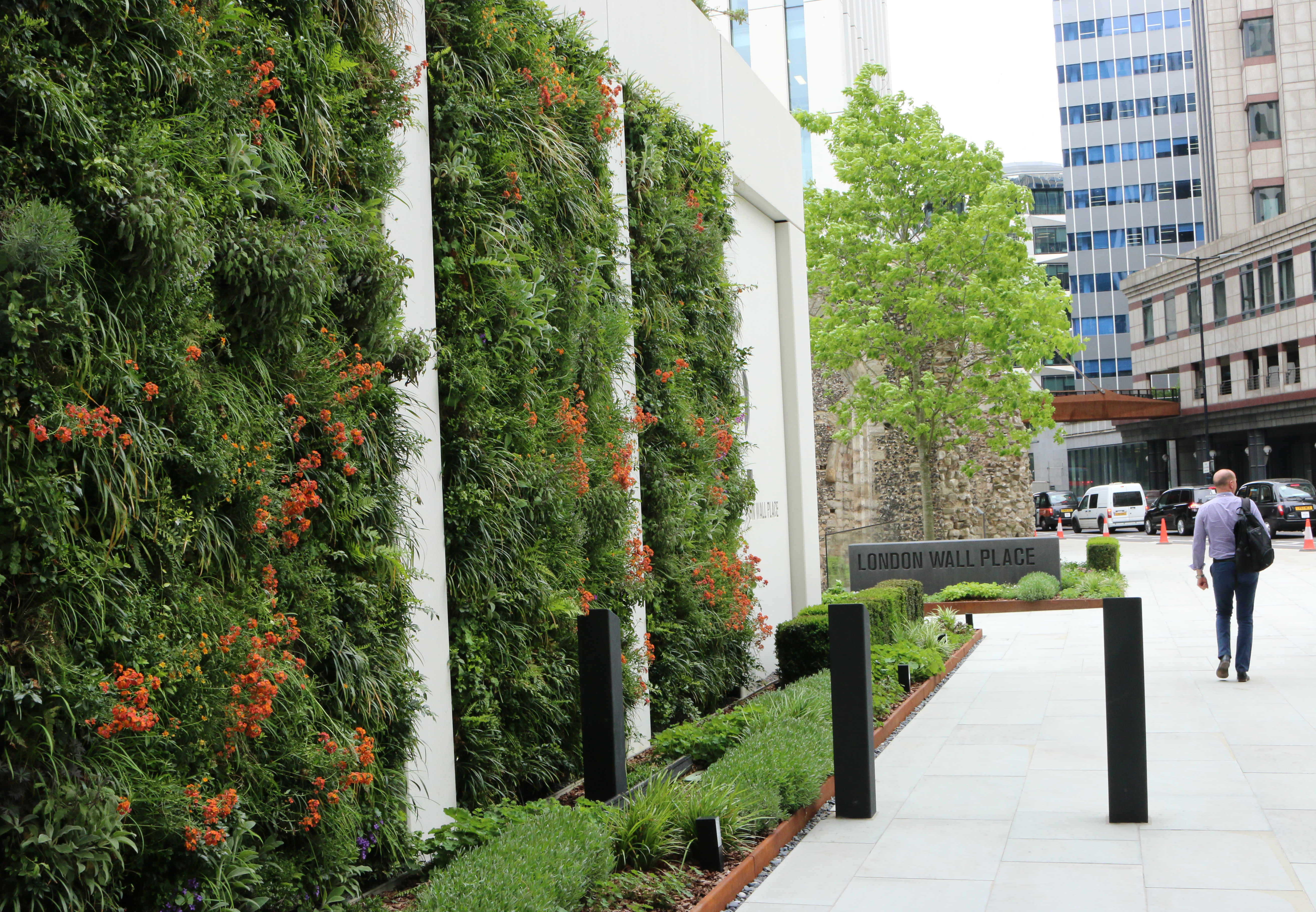 5 Top Considerations When Designing A Living Wall